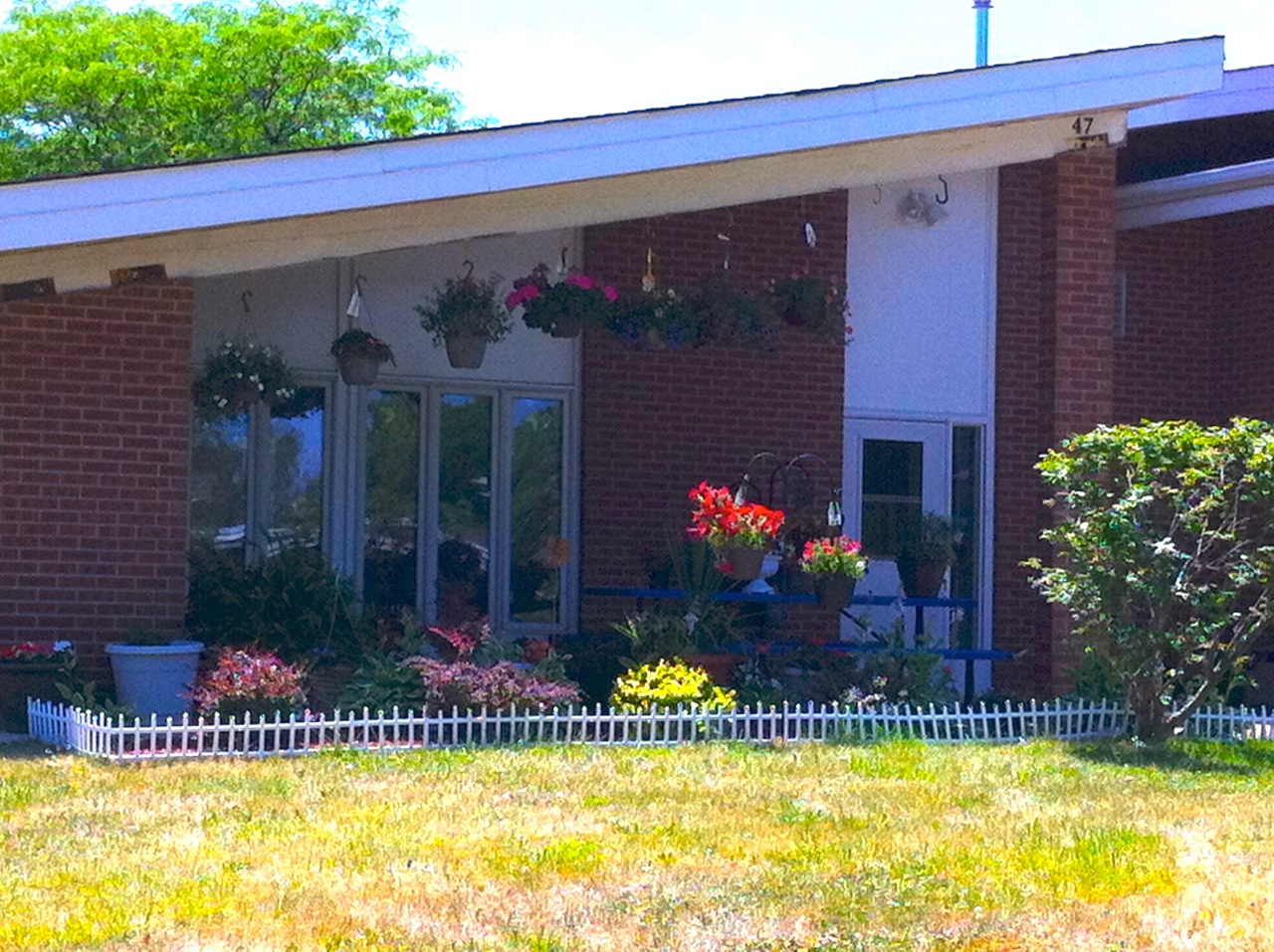 Ludeman Garden Program | Parents & Friends of the Ludeman Center